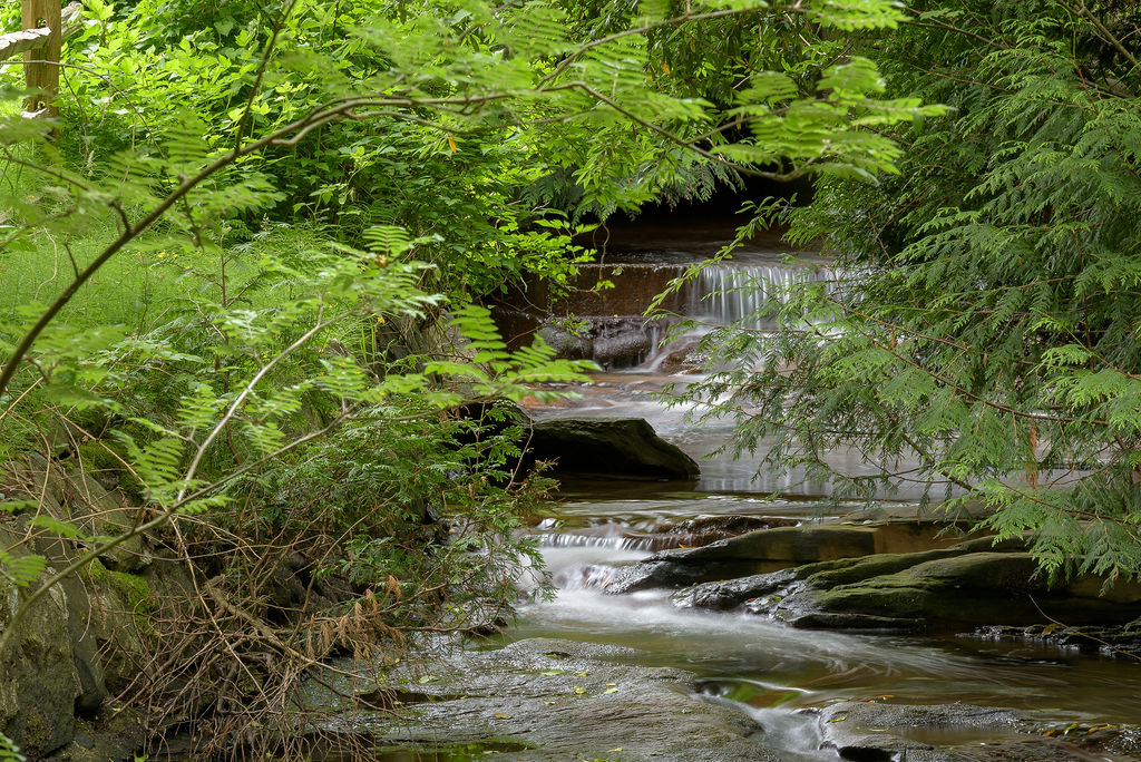 Renfrew Ravine Park - Community Spaces, Landscape Architecture - Binnie
