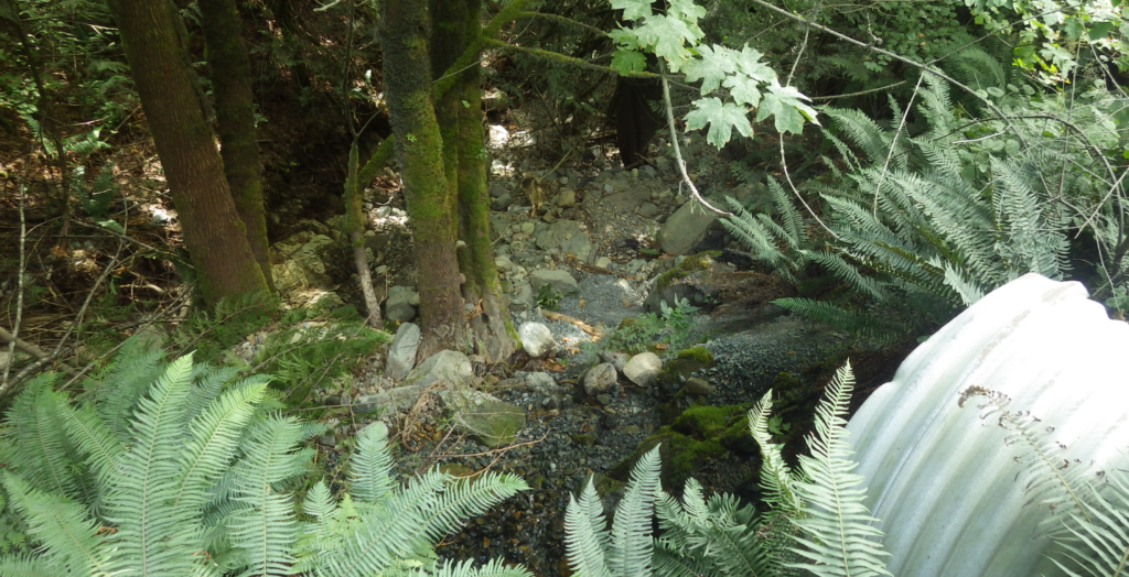 Condition Assessment of 51 Culverts Along Hemlock Valley Road - Water ...