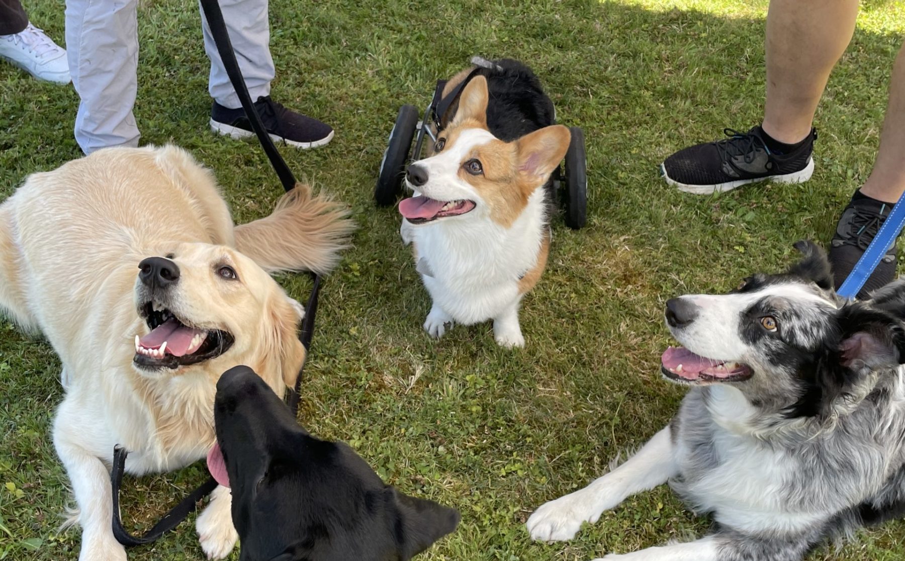 Civil Engineering News - Binnie