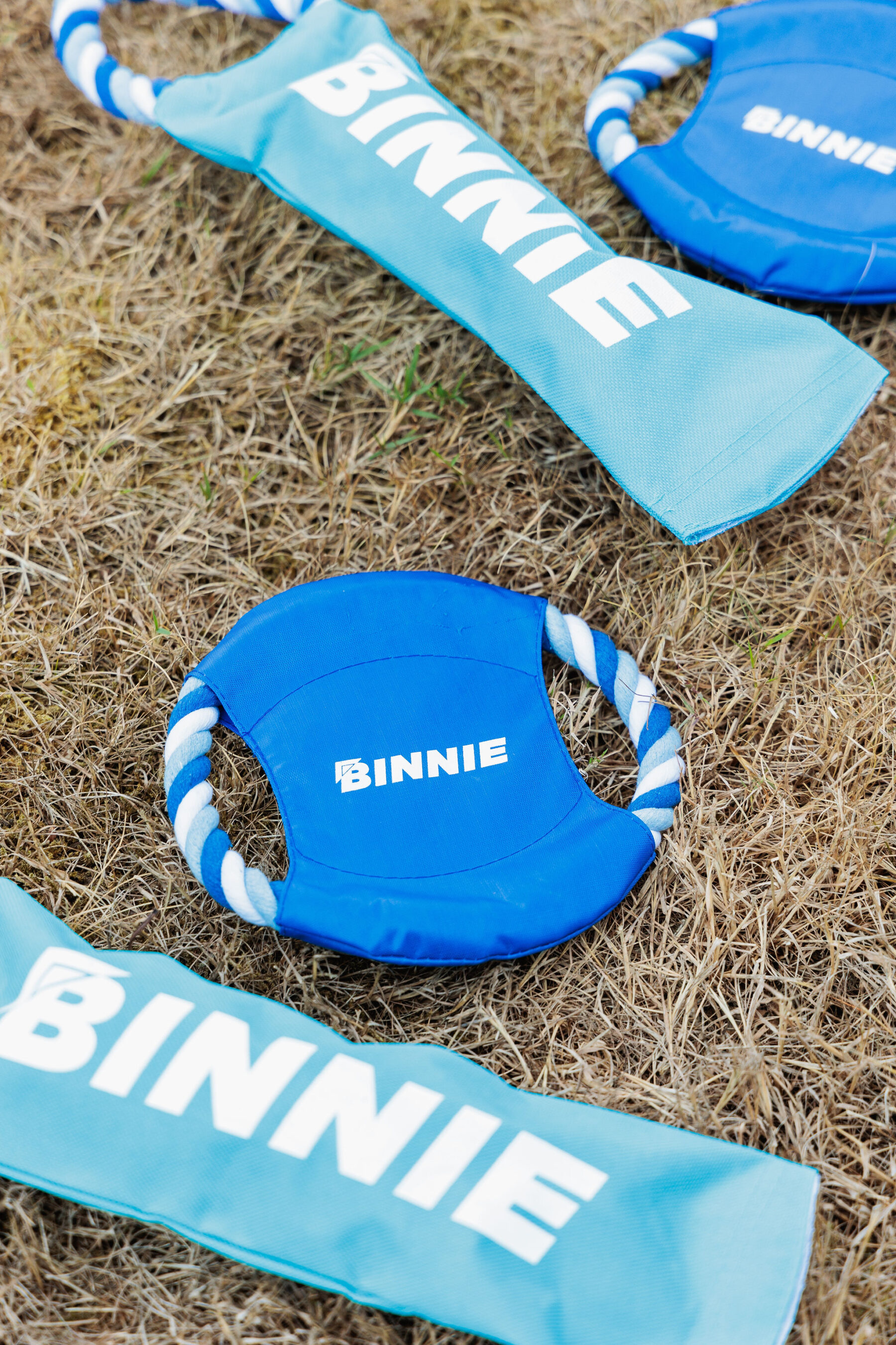 Second Annual Doggy Destress Day - Culture - Binnie